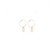 mini pineapple hoops